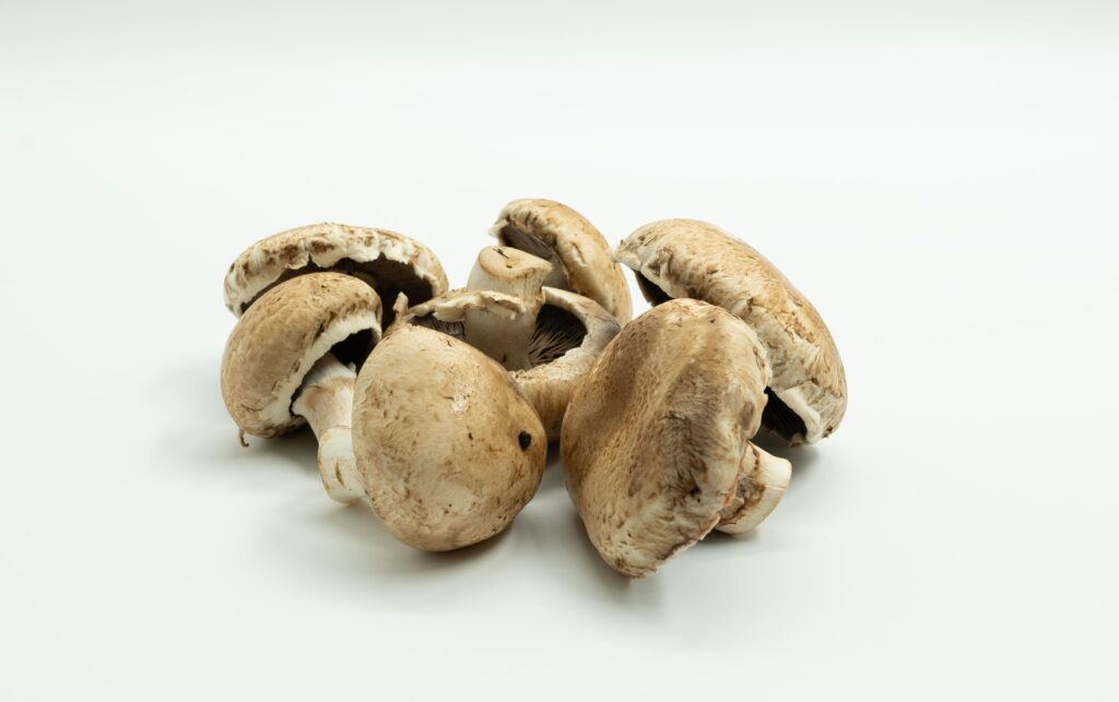 Hongos Chimini - Bögi natural